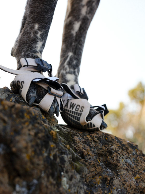 Clawgs - Protect Paws & Free Claws